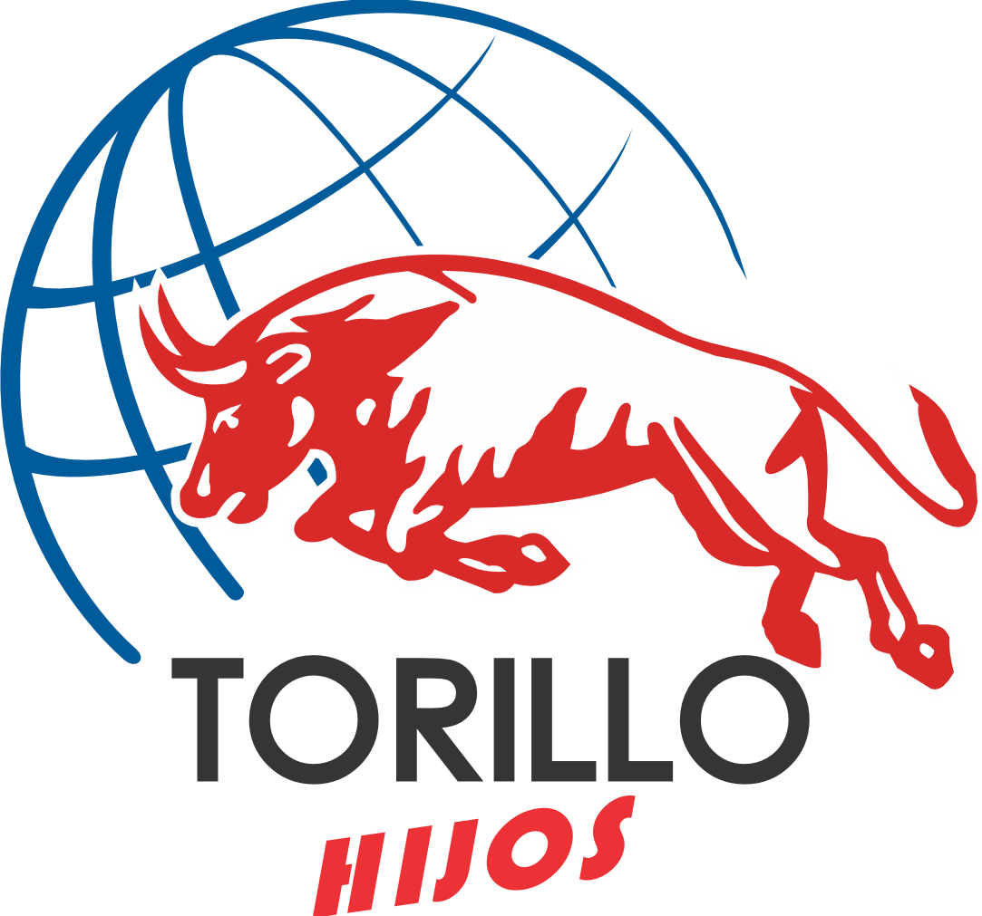INICIO - Torillo Hijos
